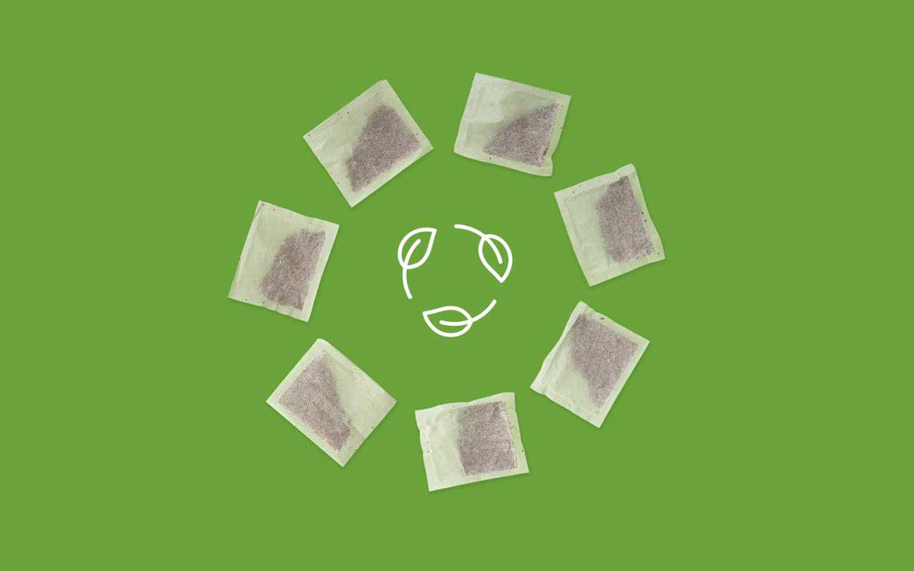 9 Health Benefits of Rooibos Tea – Tick Tock